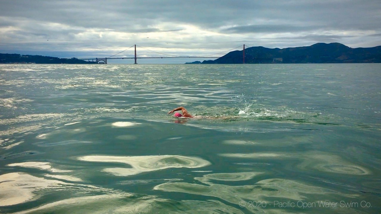 Alcatraz Swims - Pacific Open Water Swim Co.