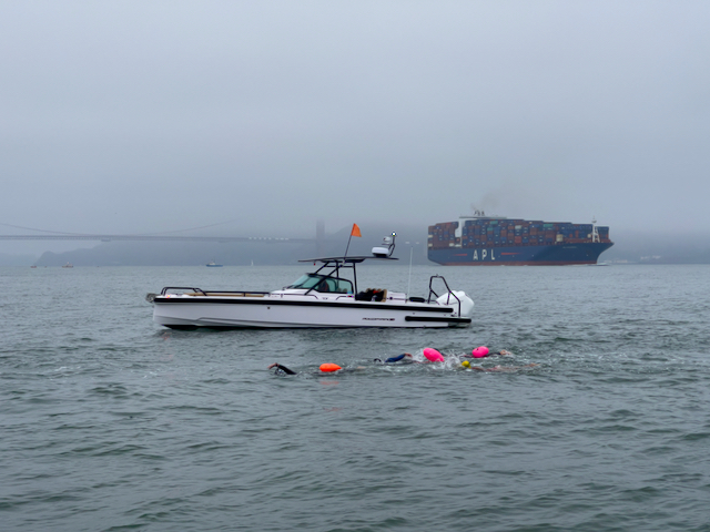 Escape from Alcatraz: Experience Open Water Swimming with Pacific Open ...